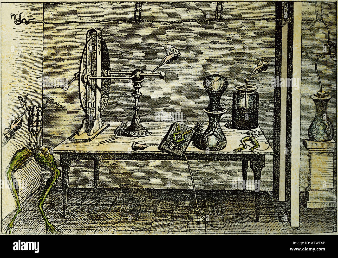 Luigi galvani experiment hi-res stock photography and images - Alamy