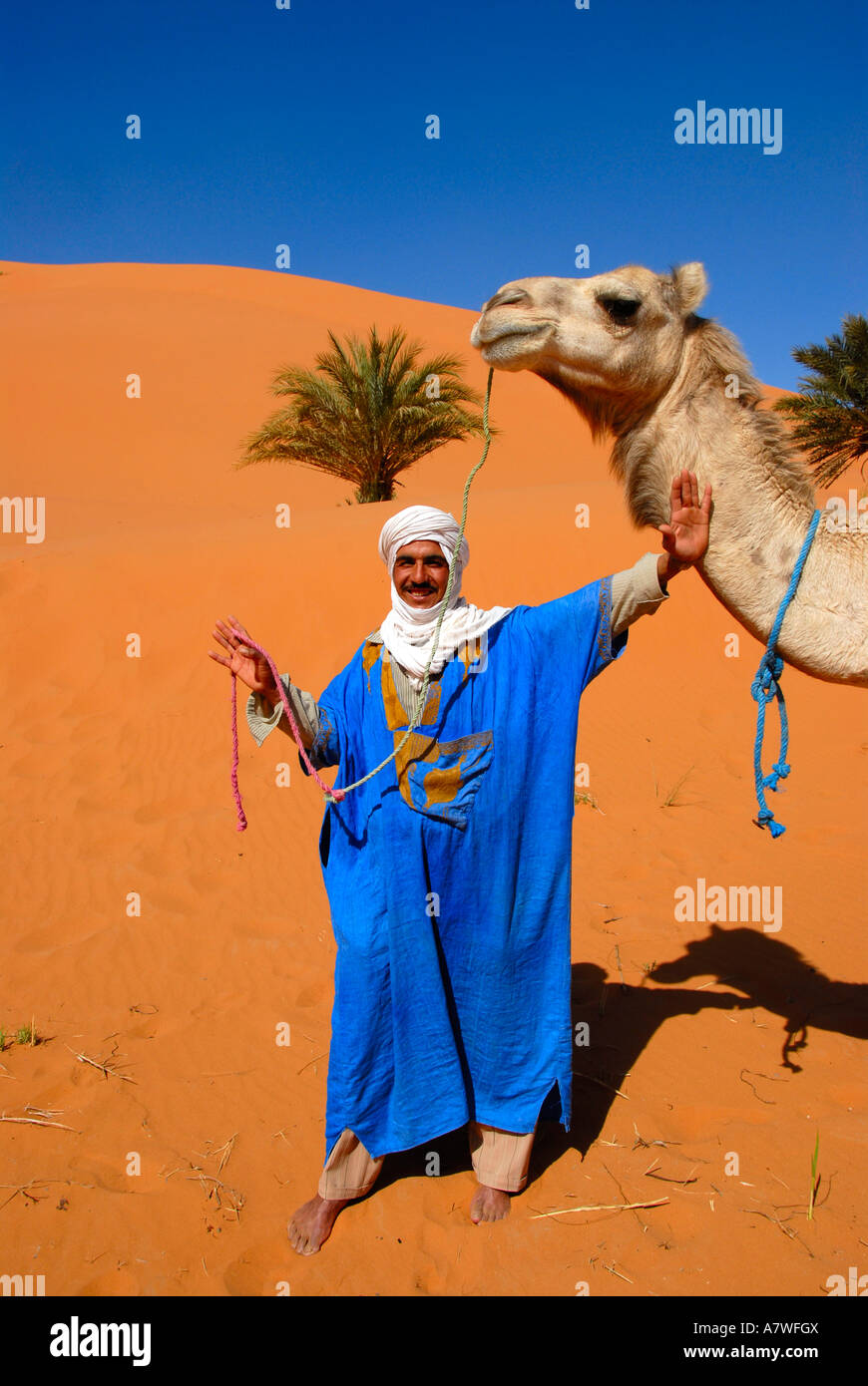 Tuareg dressed in blue robe and white turban with camel in sand dunes ...