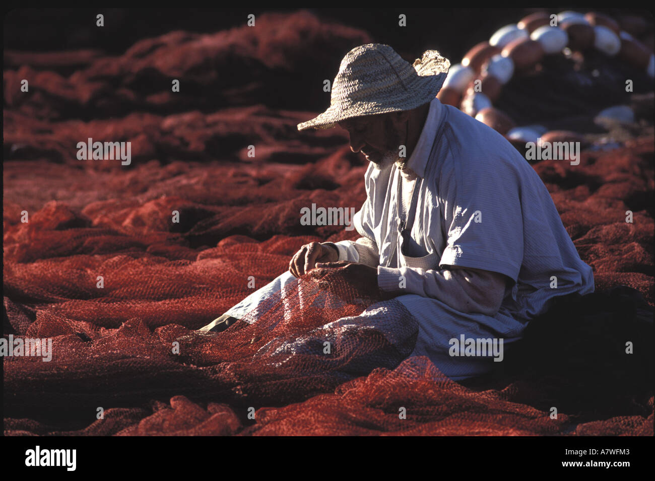 Agadir fishing port hi-res stock photography and images - Alamy