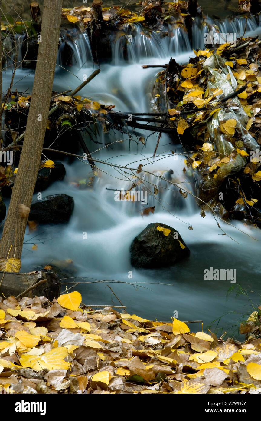 The water forms Stock Photo - Alamy