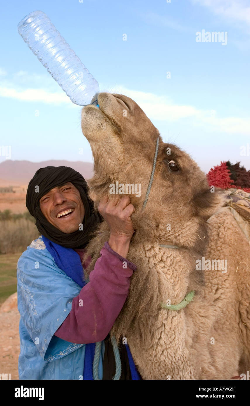 Camel water bottle hi-res stock photography and images - Alamy