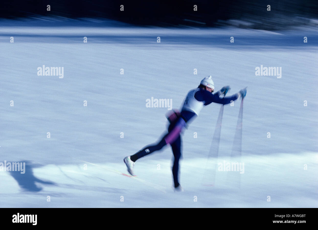 Cross country ski racer Stock Photo - Alamy