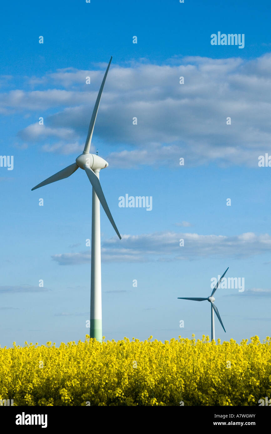Wind engine in field of rape Stock Photo - Alamy