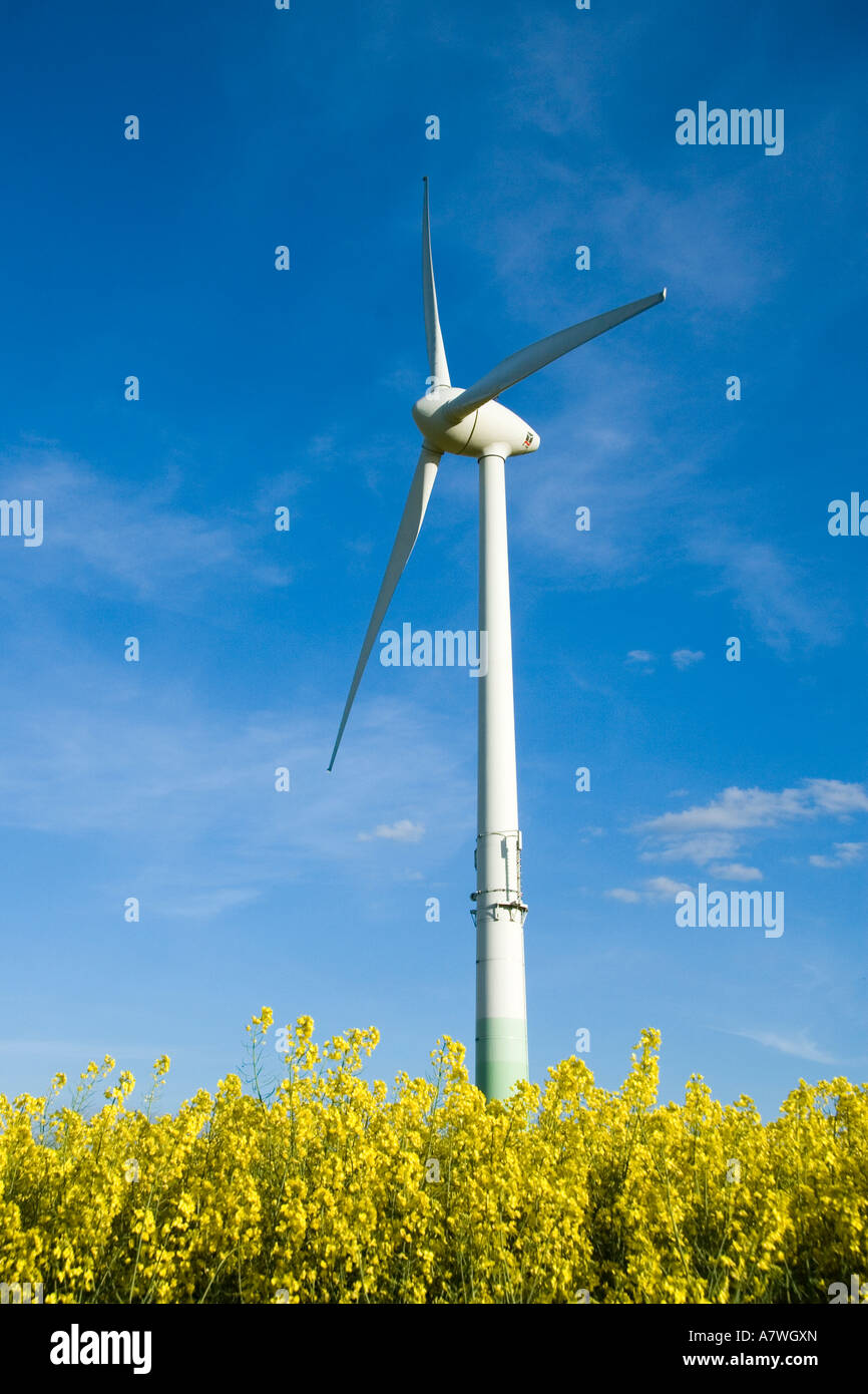 Wind engine in field of rape Stock Photo - Alamy