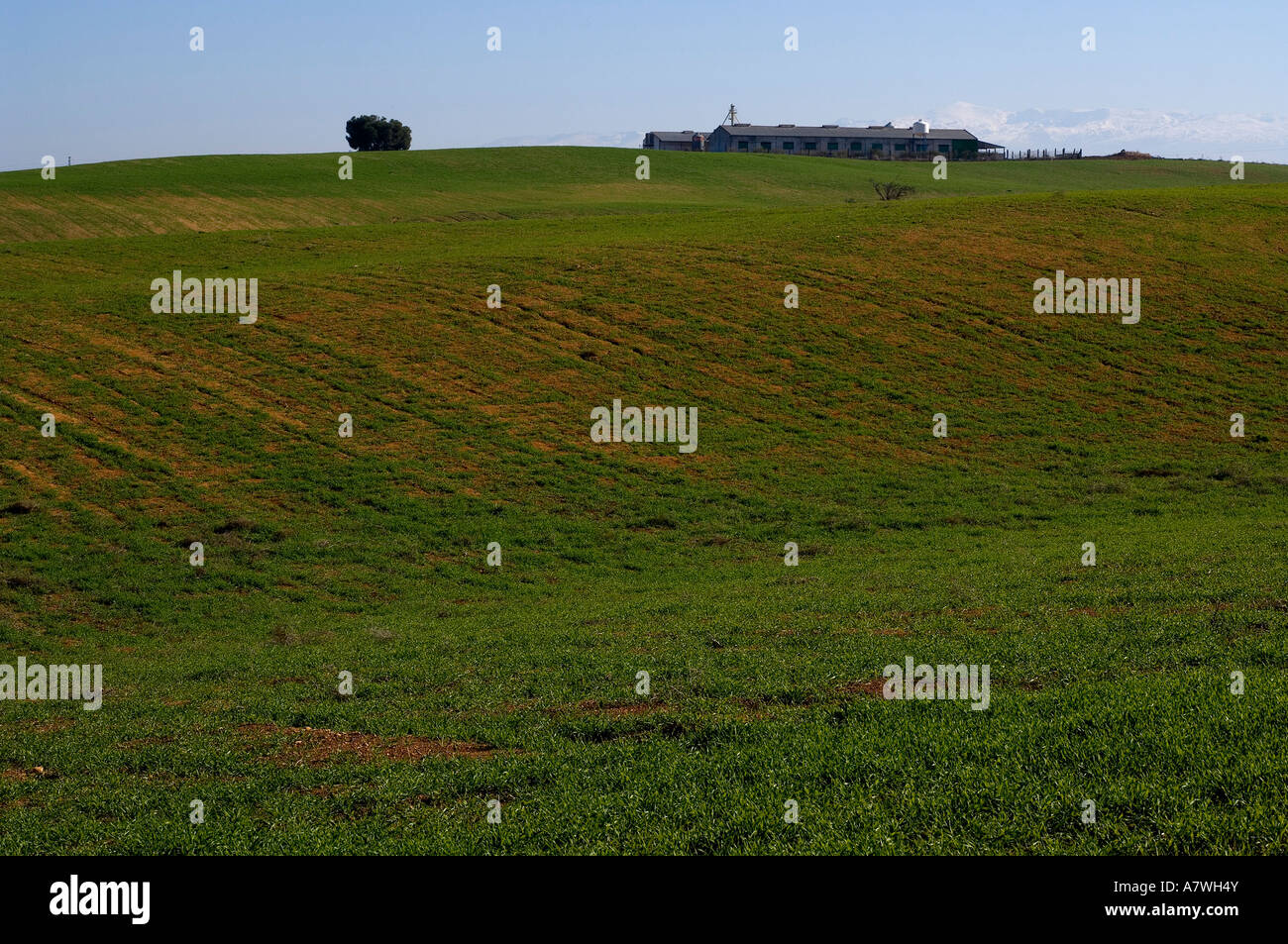 Andalusian cultivation fields Stock Photo - Alamy
