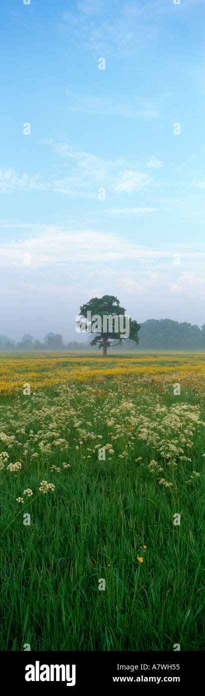 Newton kyme hi-res stock photography and images - Alamy