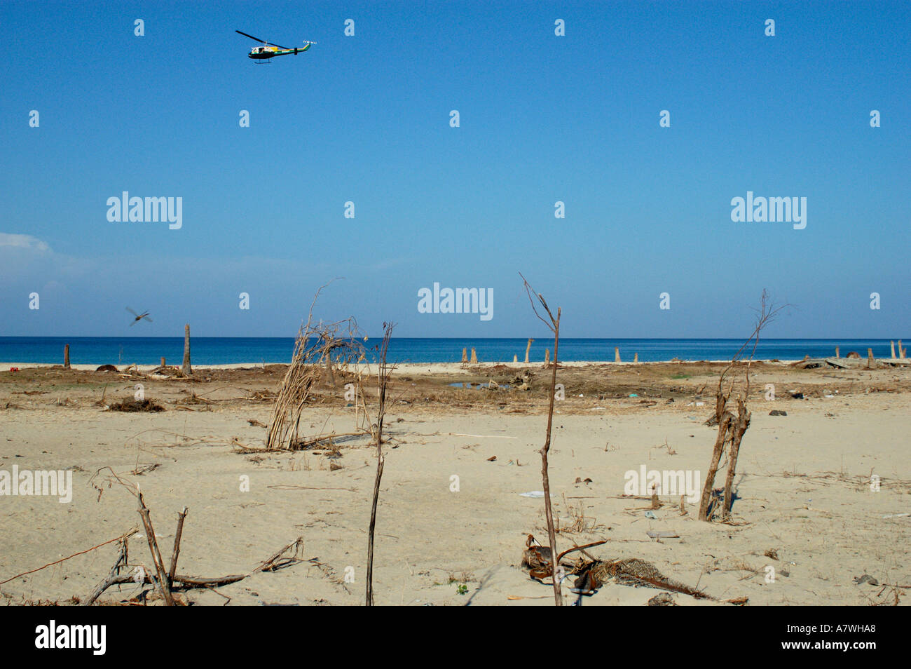 Tsunami aid hi-res stock photography and images - Alamy