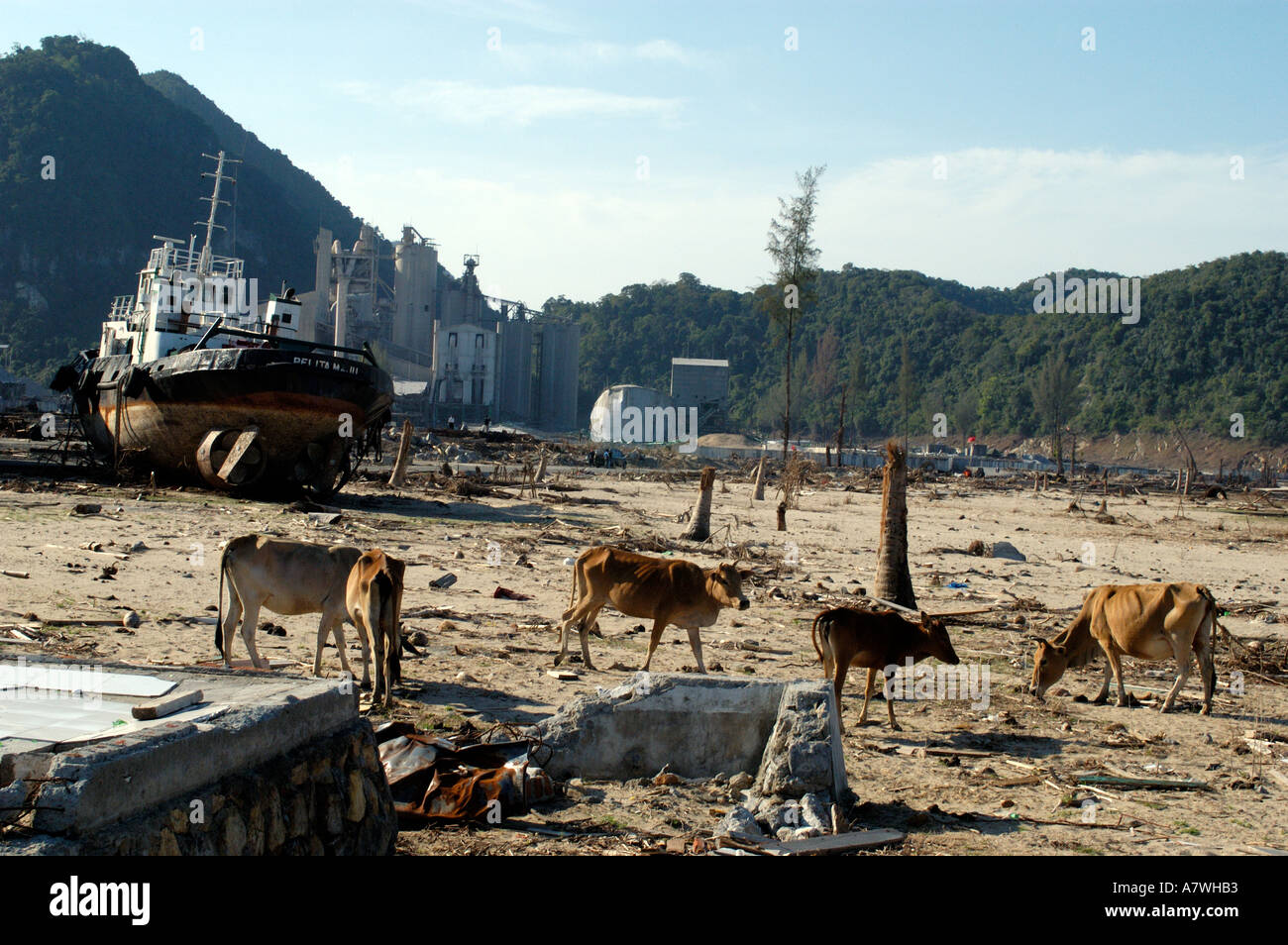 Indonesia Sumatra Banda Aceh Post Tsunami Stranded ships at devastated ...