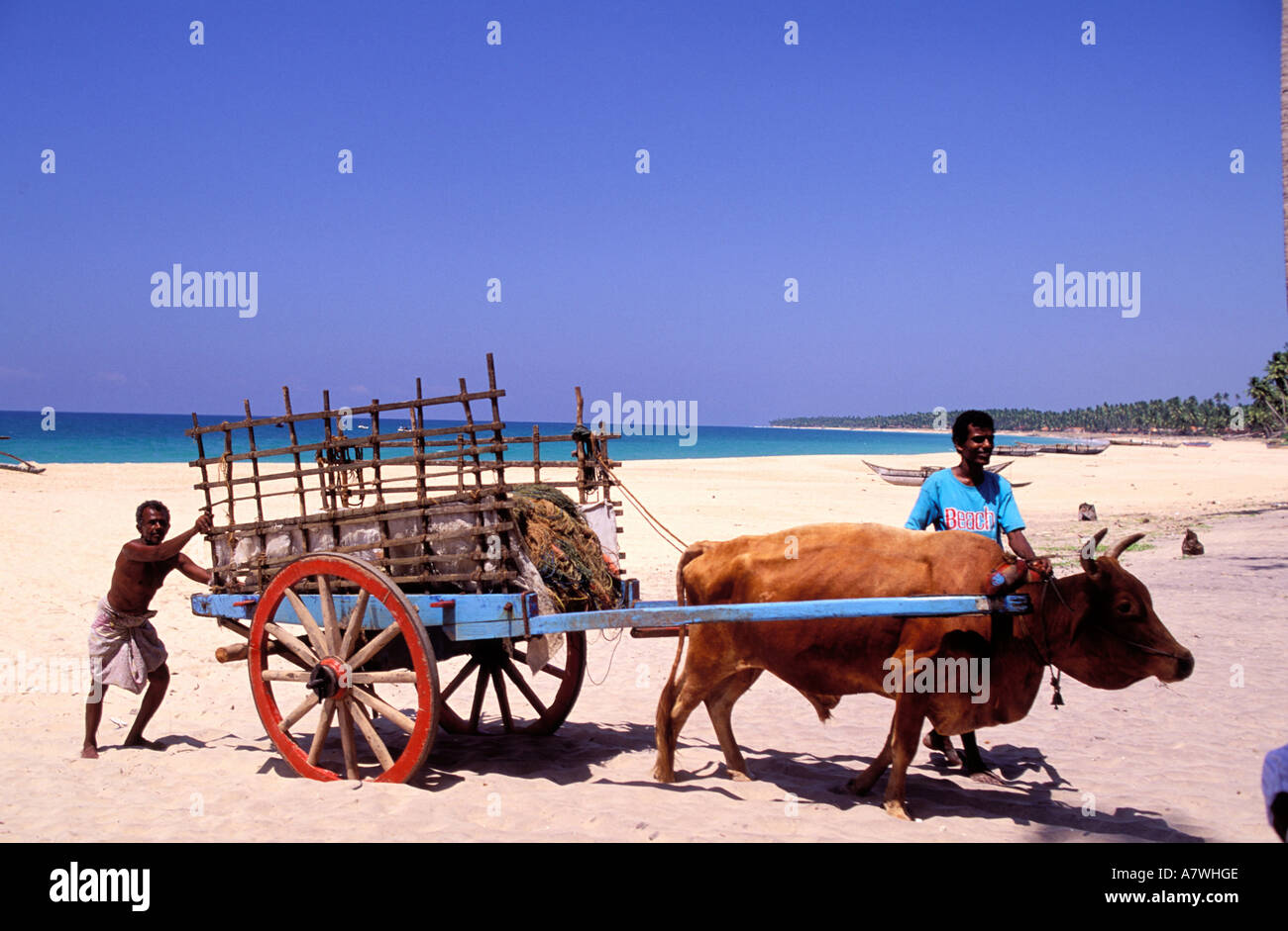 Hikkadua hi-res stock photography and images - Alamy