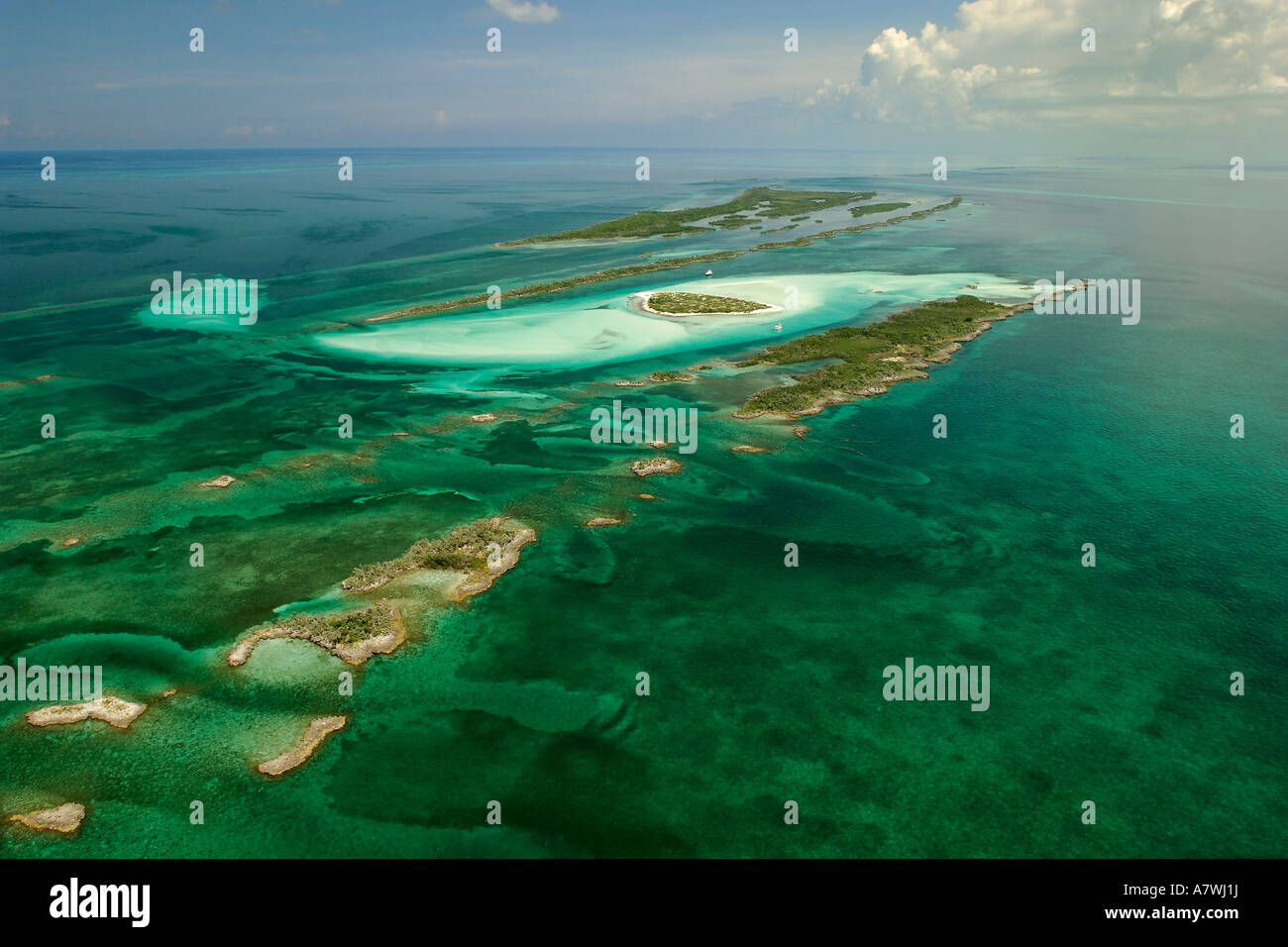 Bird cay bahamas hi-res stock photography and images - Alamy