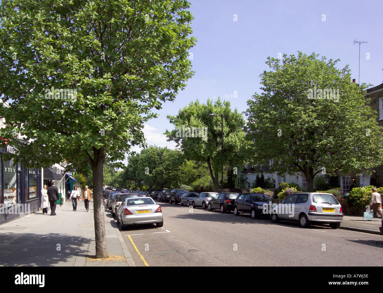 tree lined street in London Stock Photo - Alamy