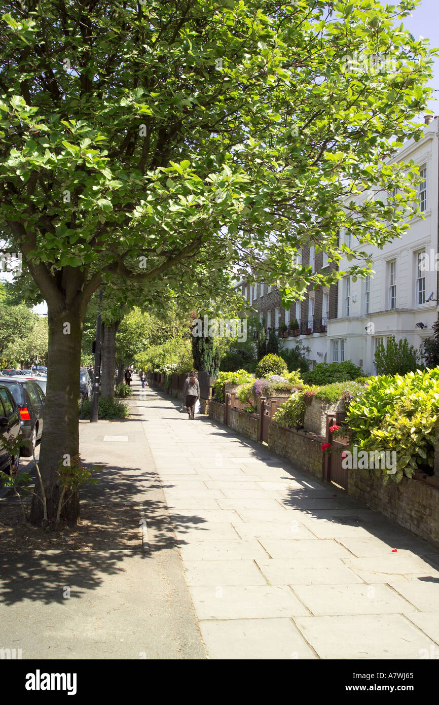 tree lined street in London Stock Photo - Alamy