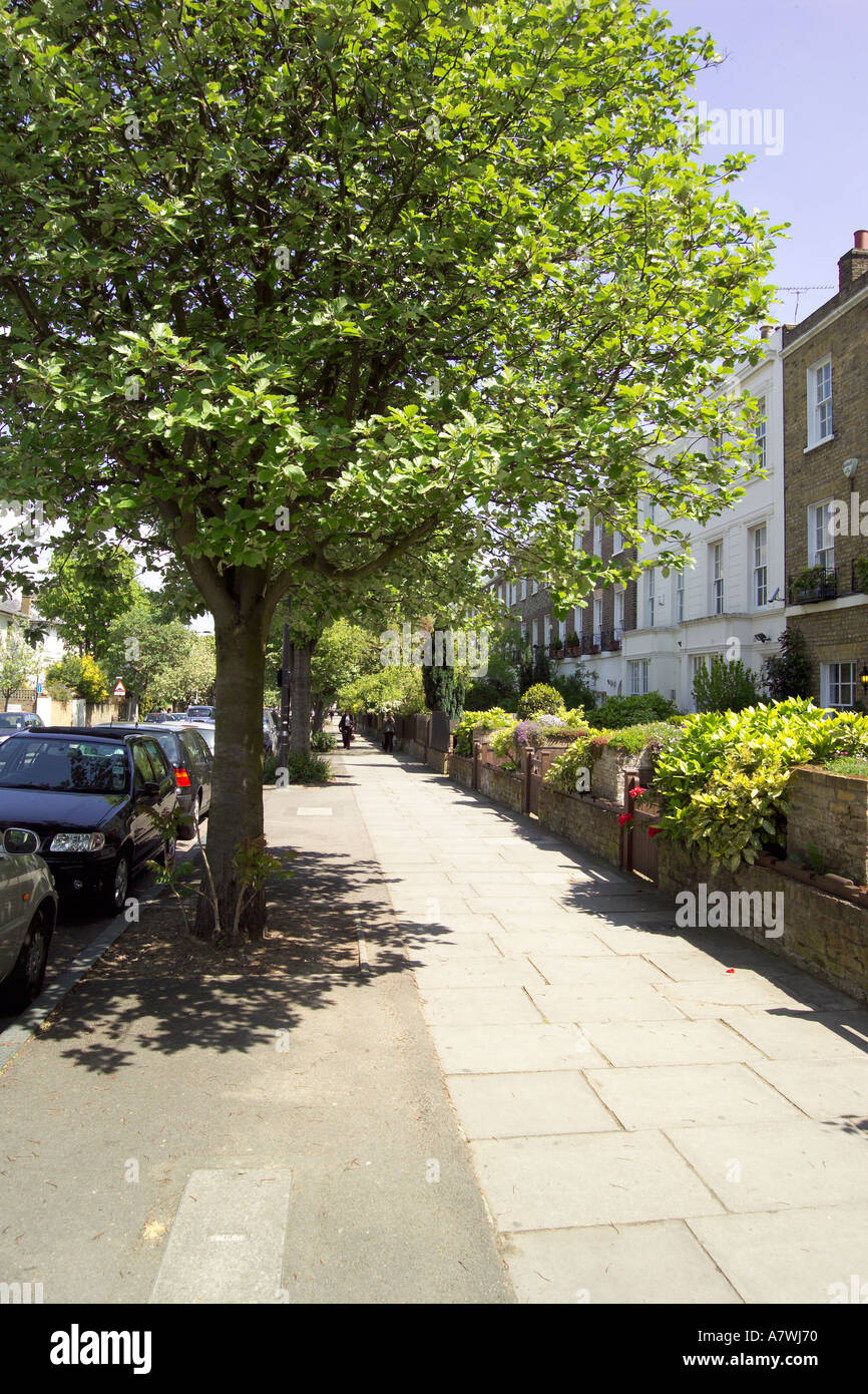 tree lined street in London Stock Photo - Alamy