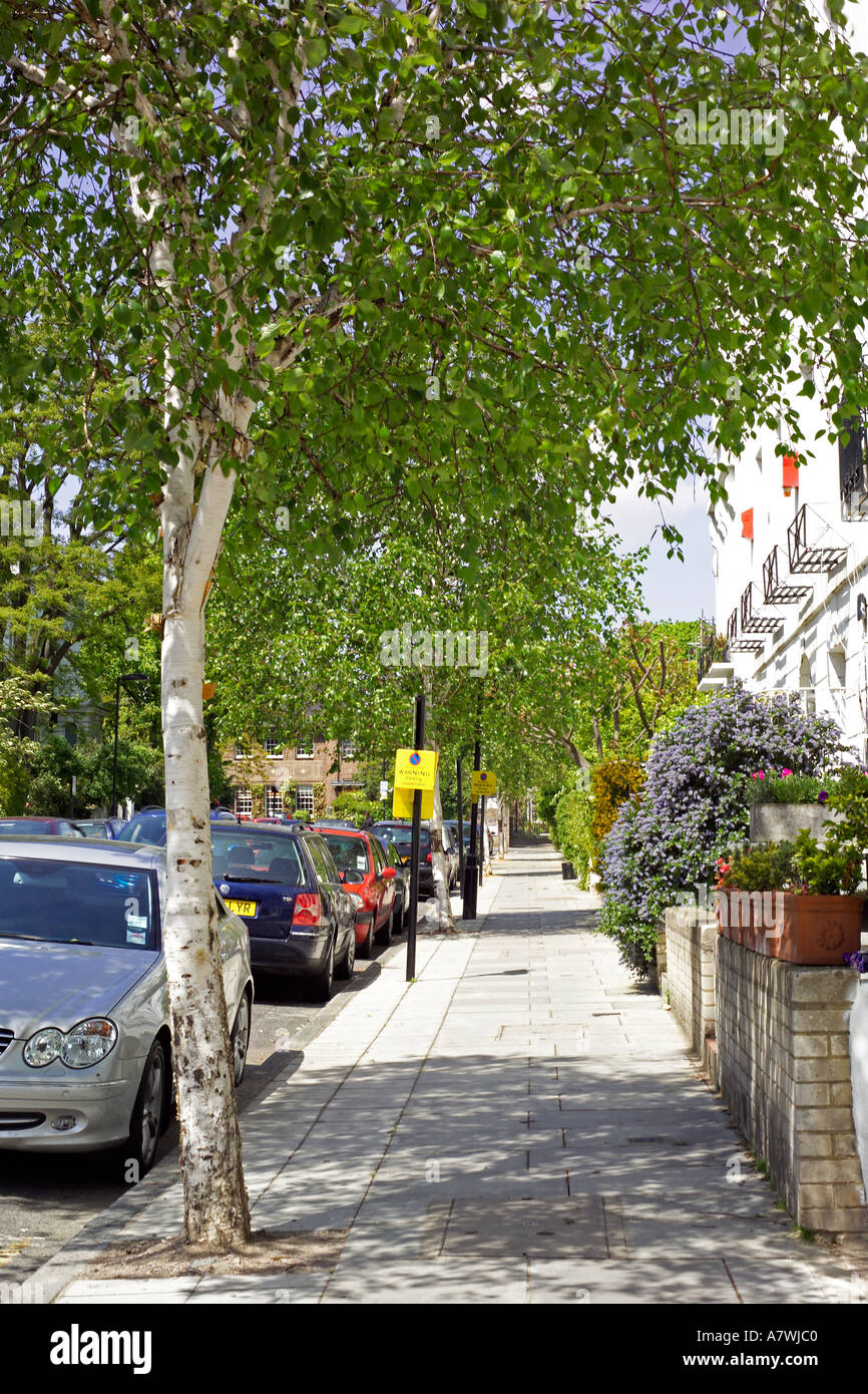 tree lined street in London Stock Photo - Alamy