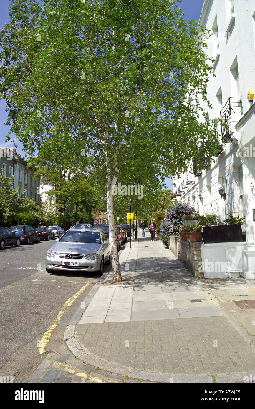 tree lined street in London Stock Photo - Alamy