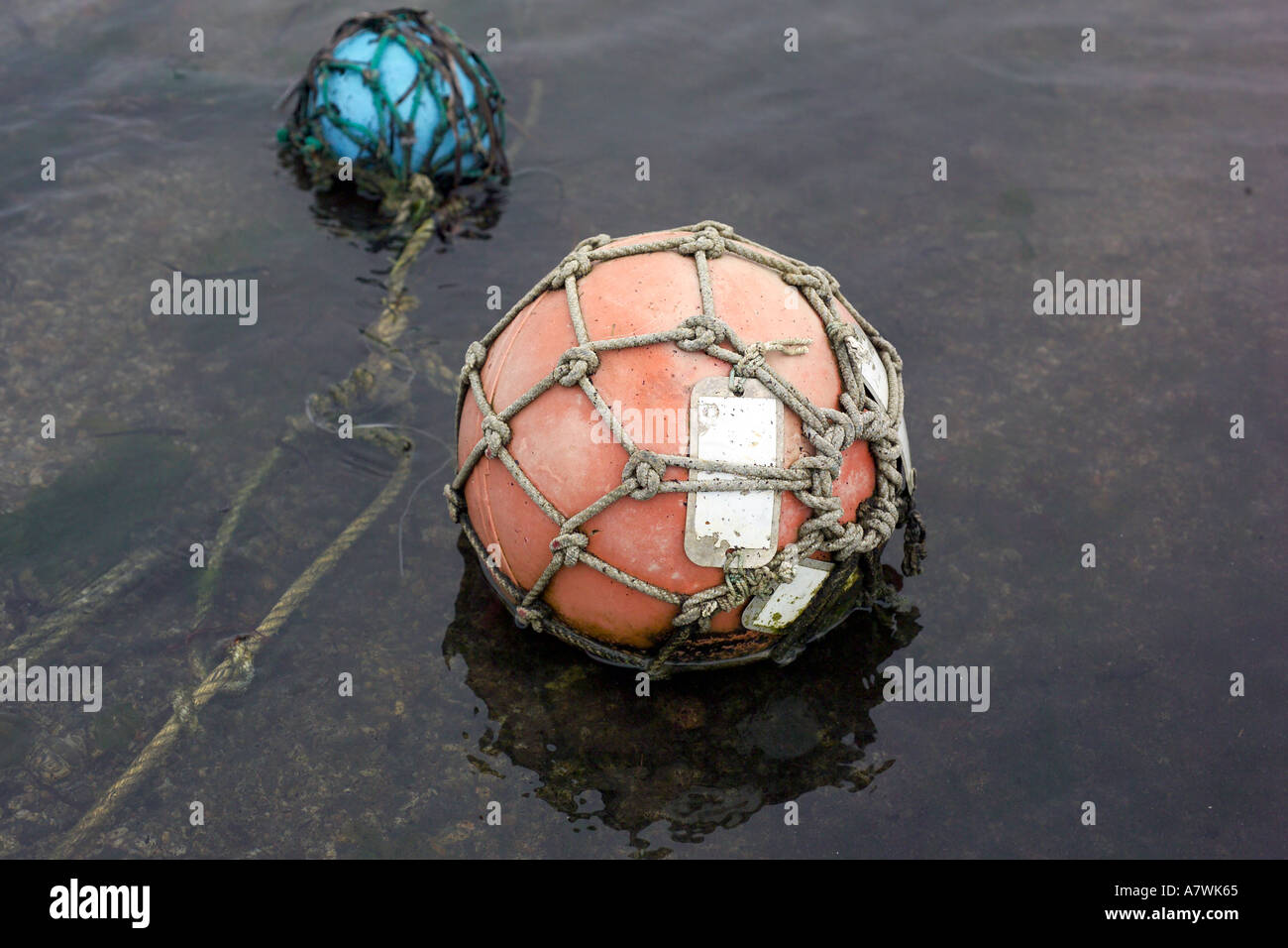 buoy floating in water Stock Photo - Alamy