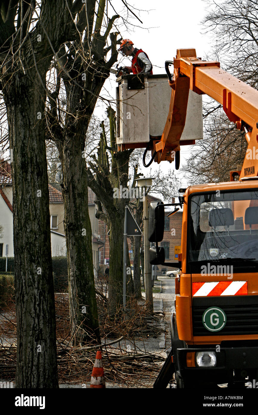 Man lifting tree off road hi-res stock photography and images - Alamy
