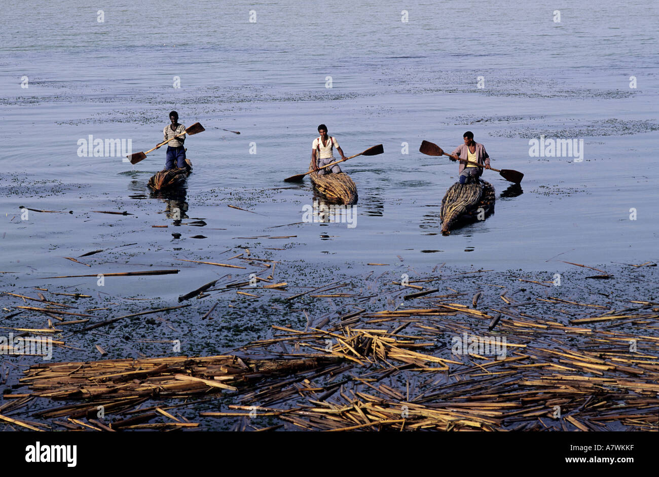 Papyrus canoe hi-res stock photography and images - Alamy
