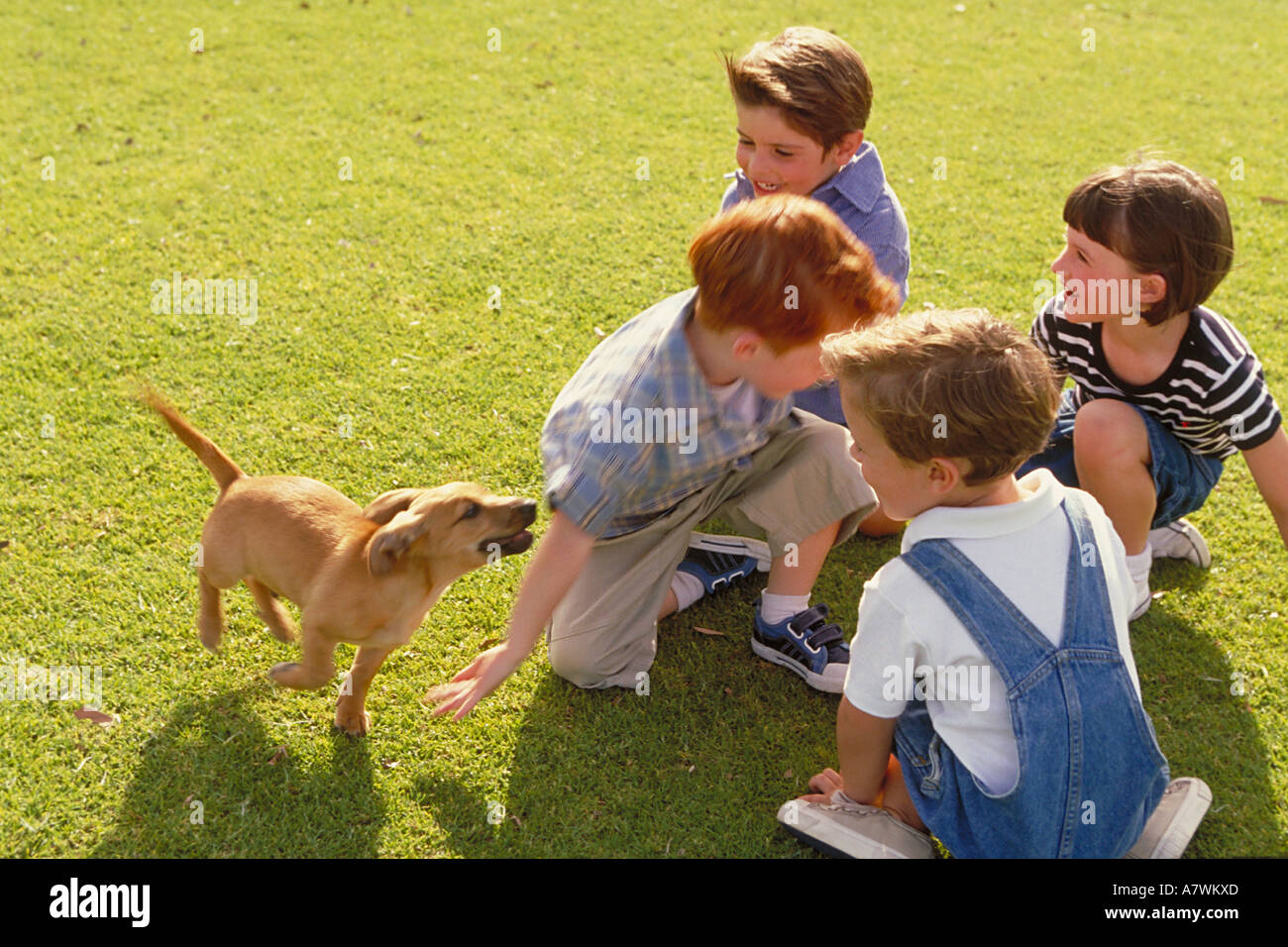 group of children playing with a dog Stock Photo - Alamy