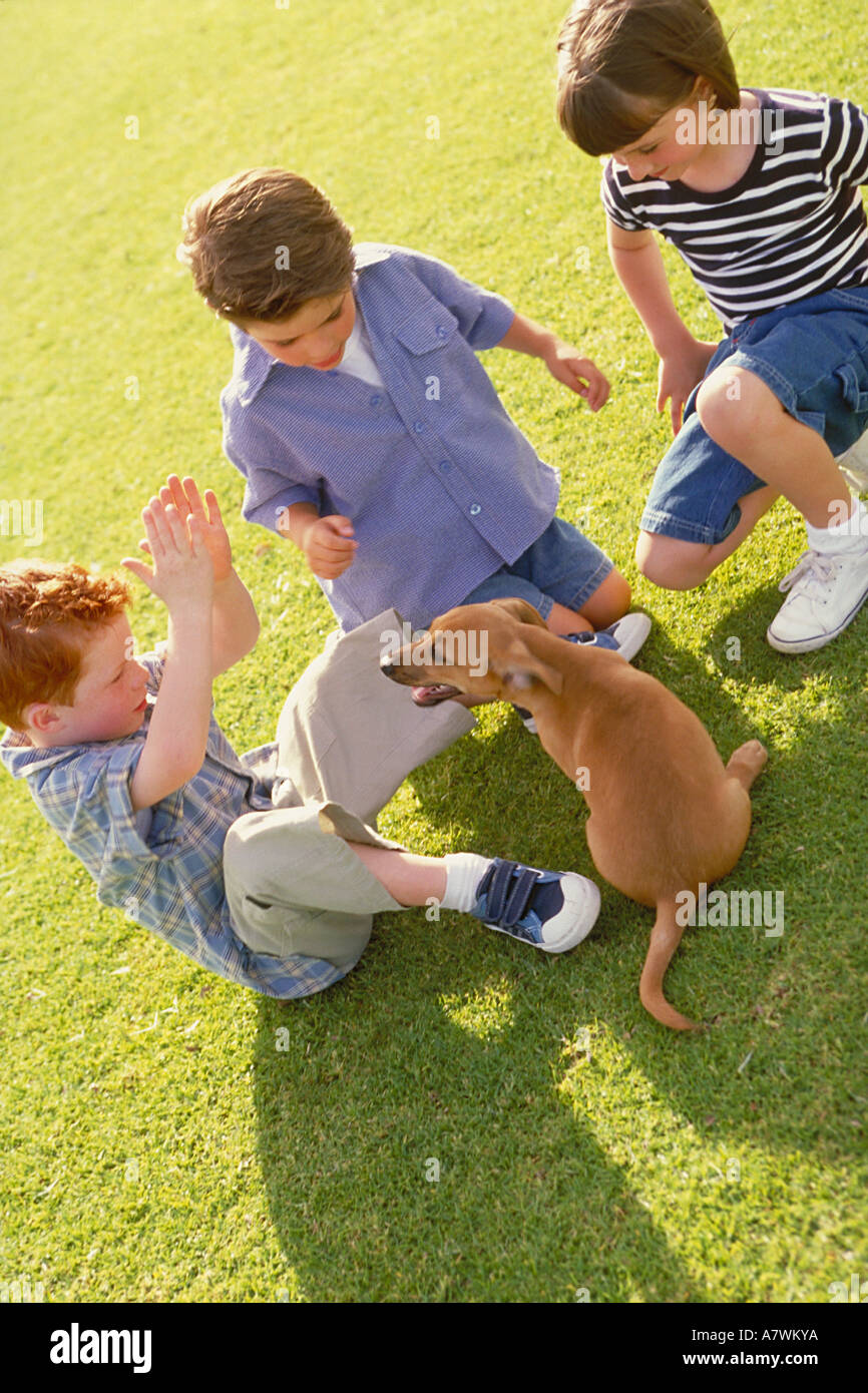 group of children playing with a dog Stock Photo - Alamy