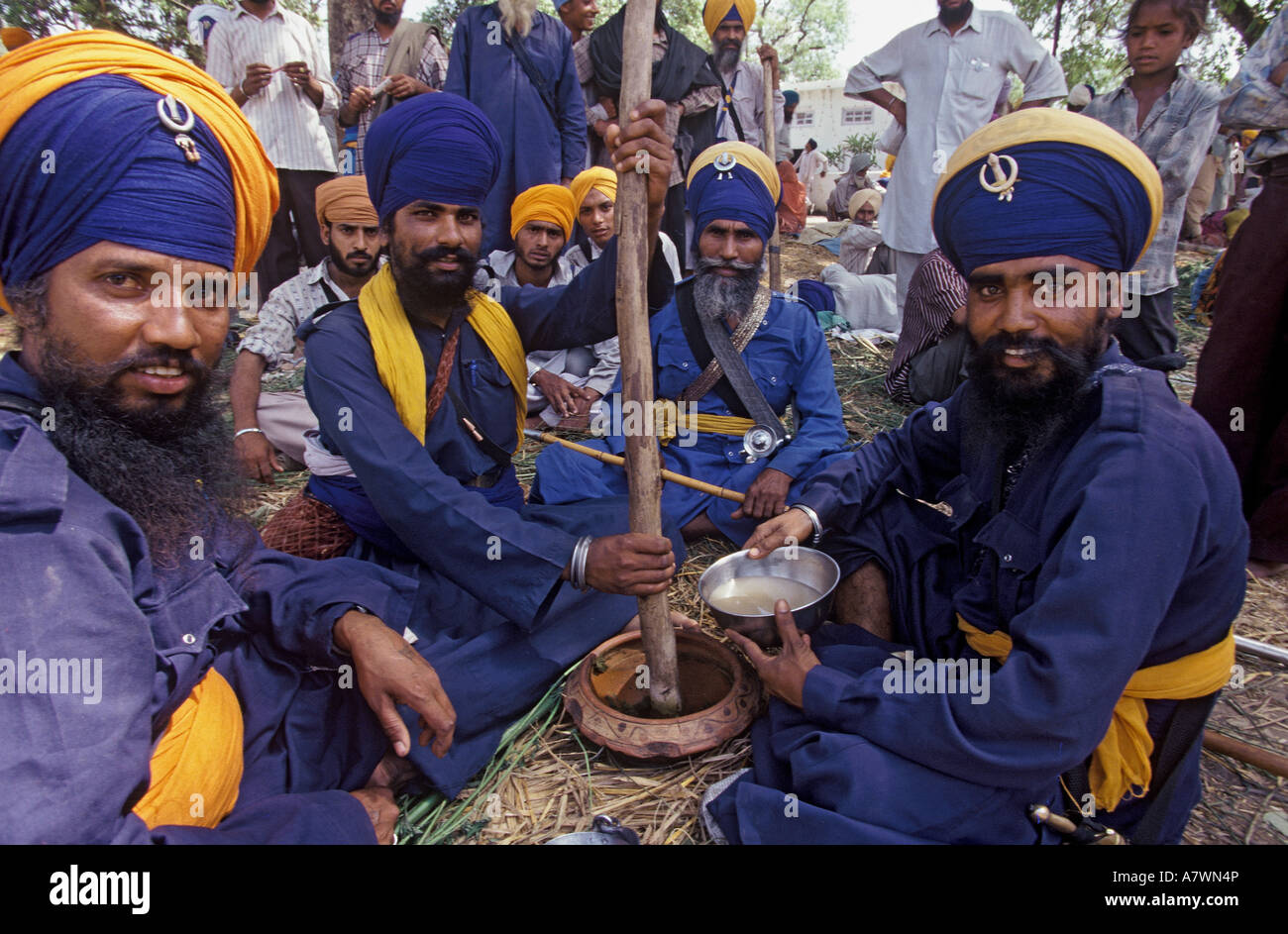 Akali-Nihang, preparing Bhang ( a cannabis drink ), Anandpur Sahib ...