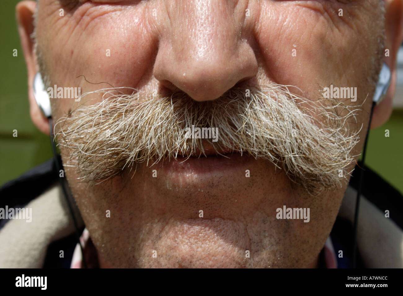moustache Stock Photo - Alamy