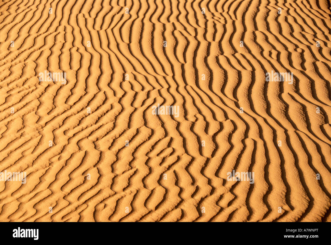 Erg chebbi dunen hi-res stock photography and images - Alamy