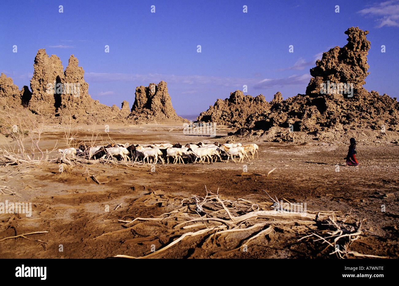 Abbe lake hi-res stock photography and images - Alamy