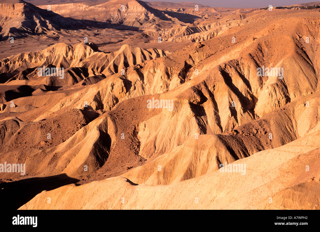 Neguev hi-res stock photography and images - Alamy