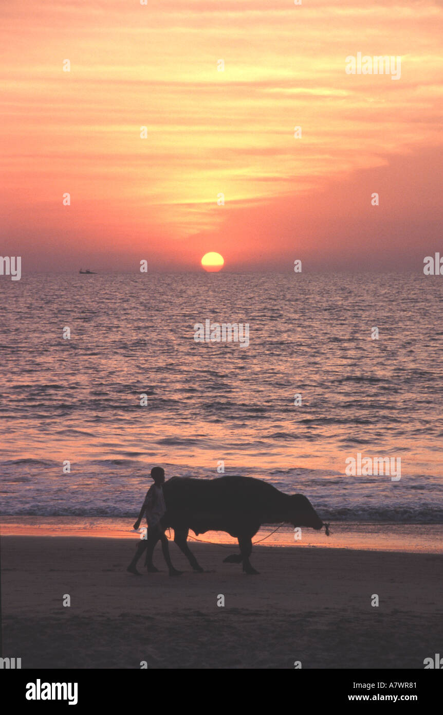 Farmer goa india hi-res stock photography and images - Alamy