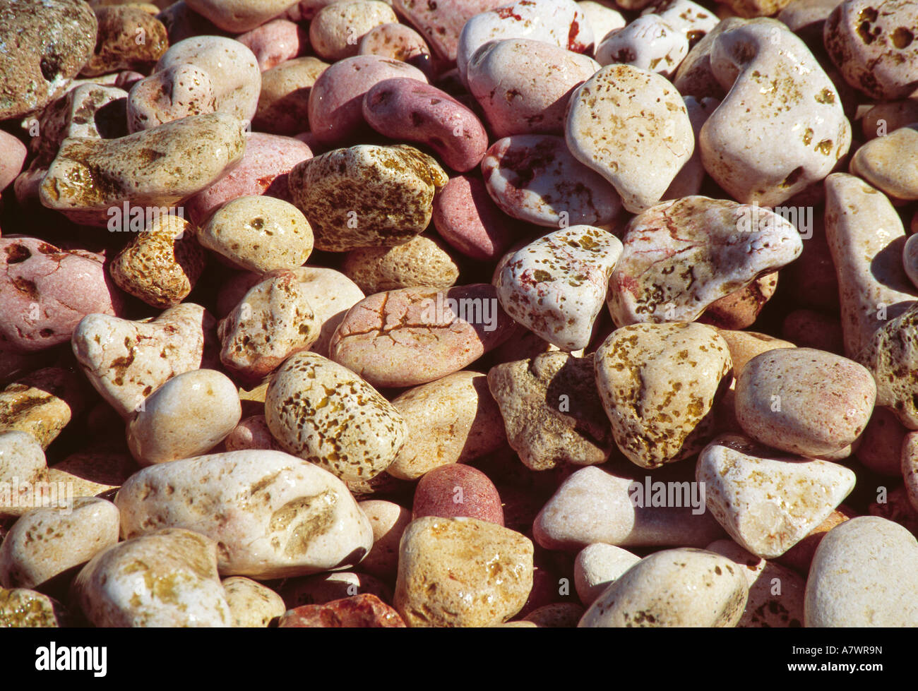Pepples on the beach Stock Photo - Alamy