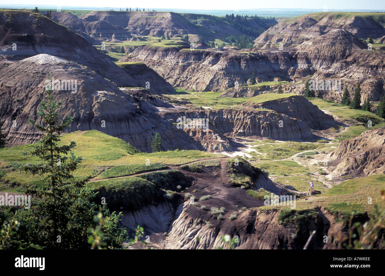 North of Calgary Alberta Canada Stock Photo - Alamy
