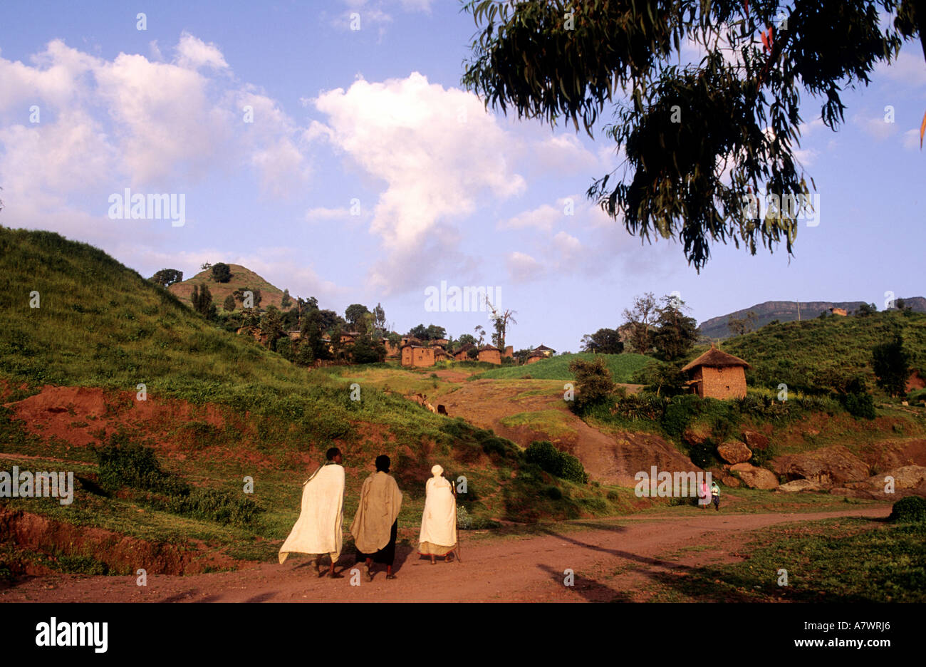 Wollo hi-res stock photography and images - Alamy