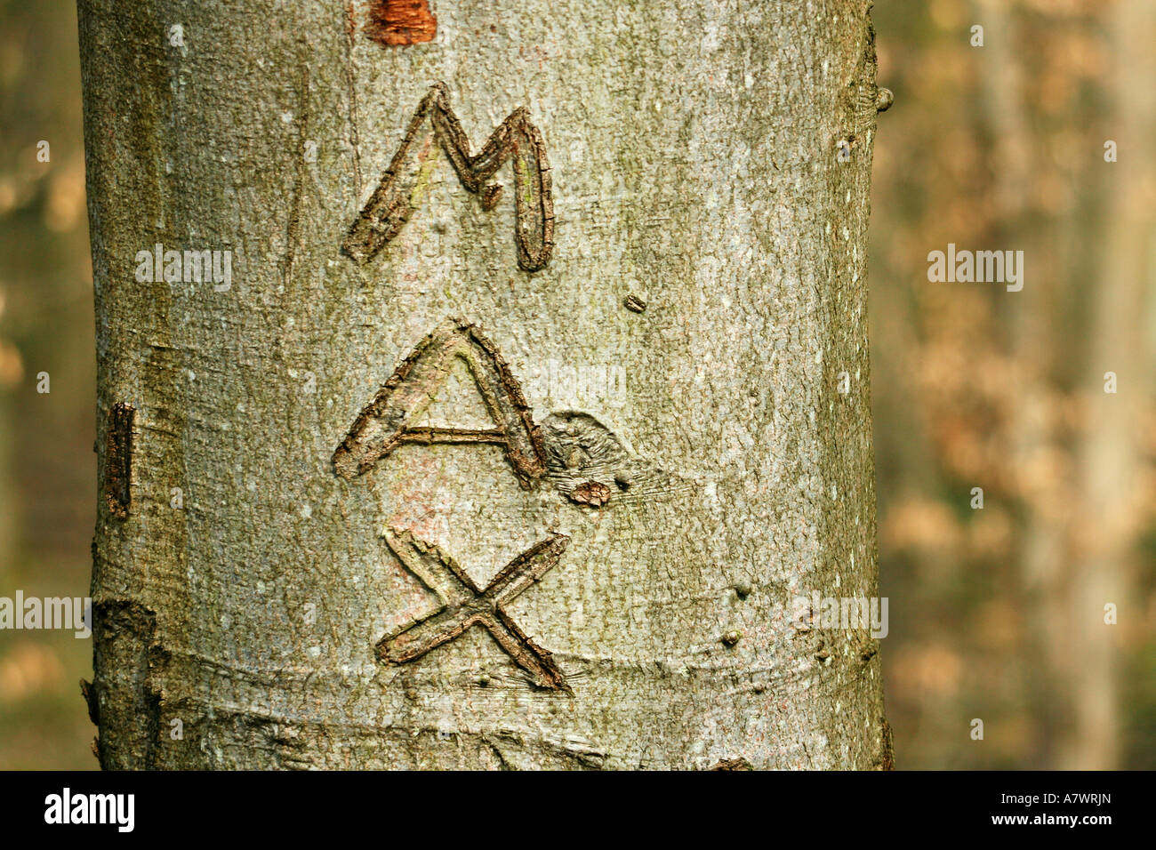 Name max hi-res stock photography and images - Alamy