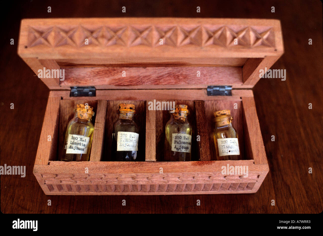 Ylan hi-res stock photography and images - Alamy