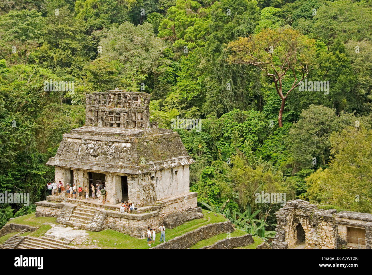 Templo del sol palenque mexico hi-res stock photography and images - Alamy