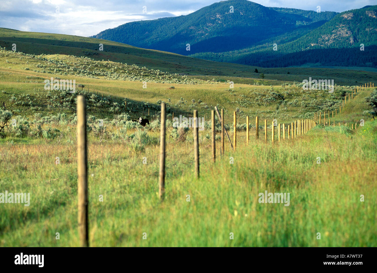 Kamloops British Columbia Canada Stock Photo - Alamy