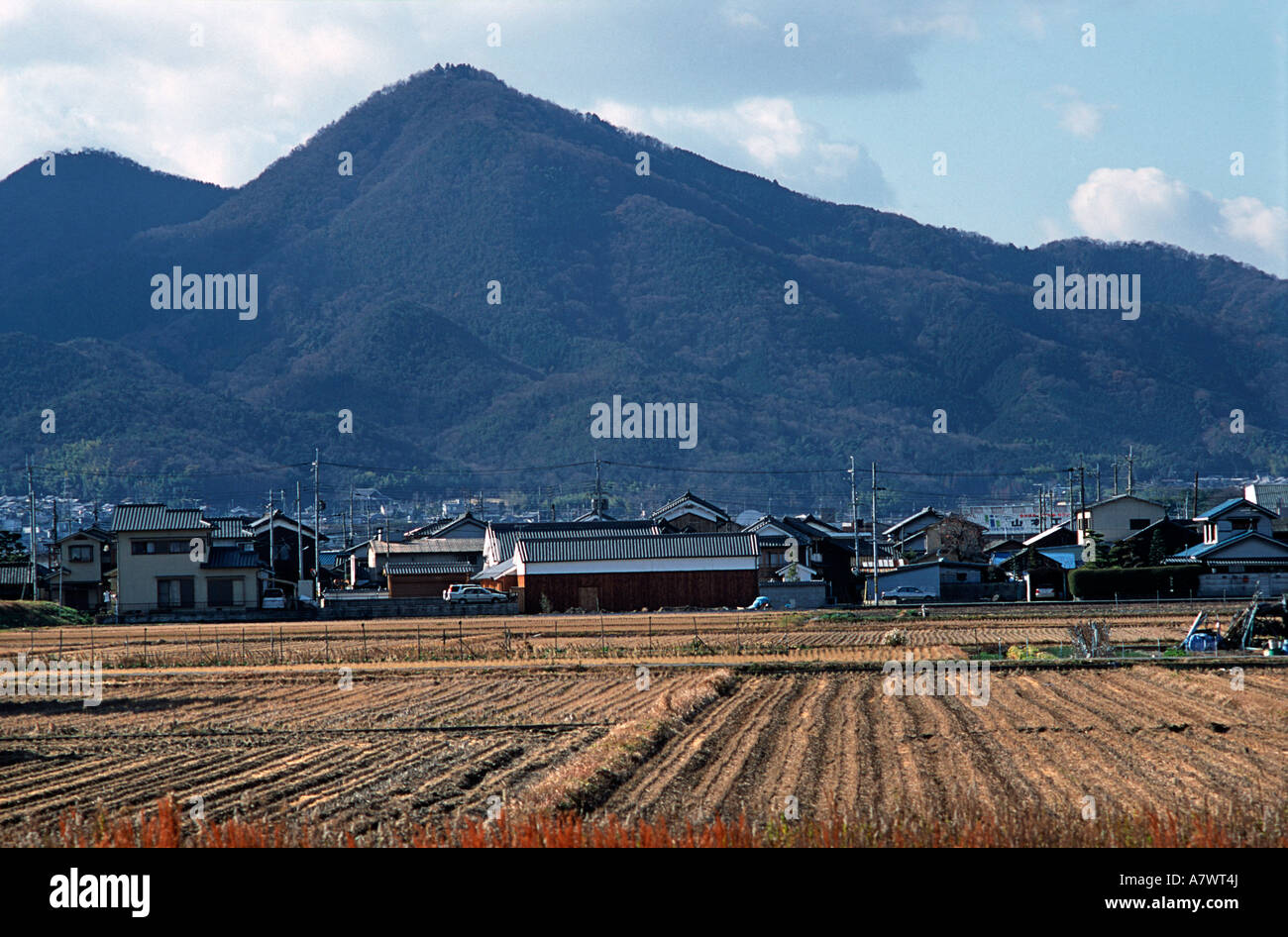 Japan01186 hi-res stock photography and images - Alamy