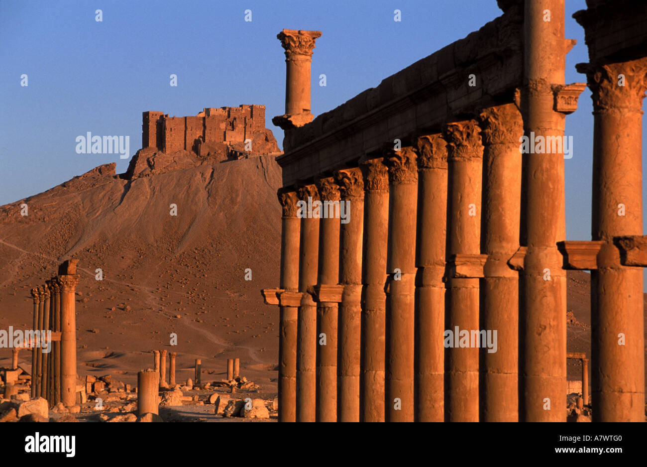 Palmyre temple hi-res stock photography and images - Alamy