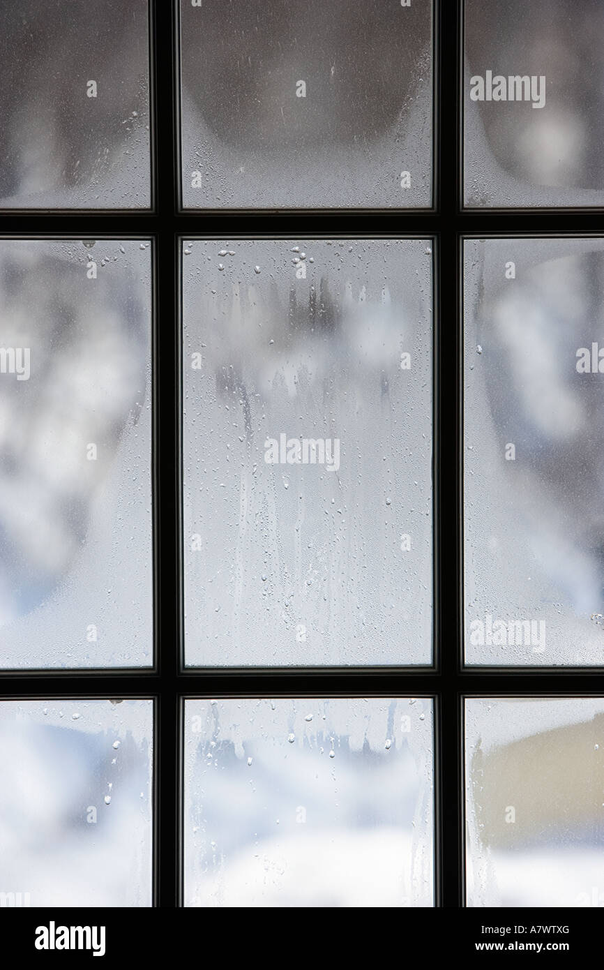 Winter scene viewed through a multi-pane window Stock Photo - Alamy