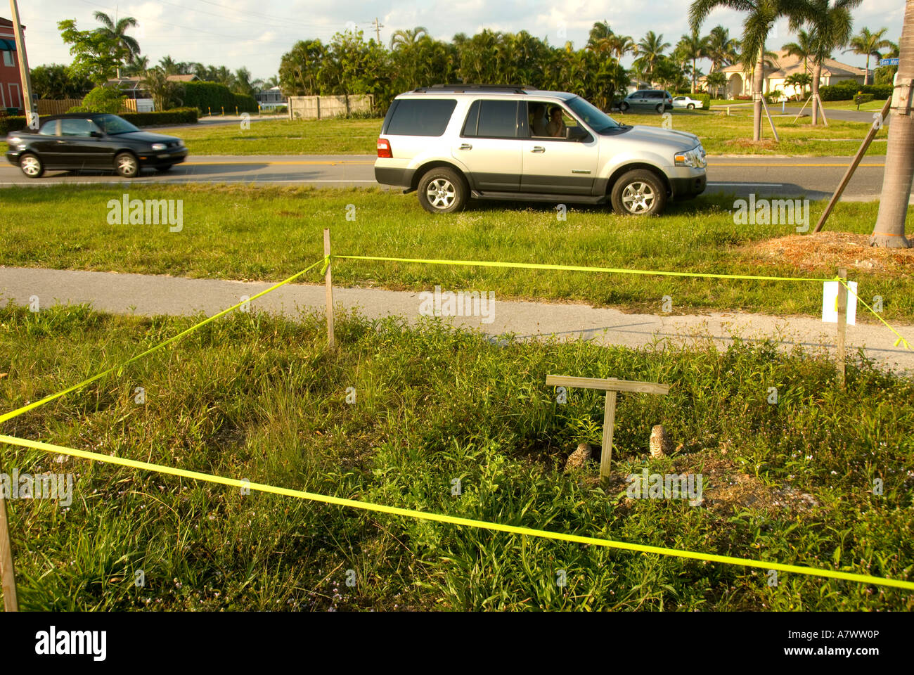 Human burrow hi-res stock photography and images - Alamy