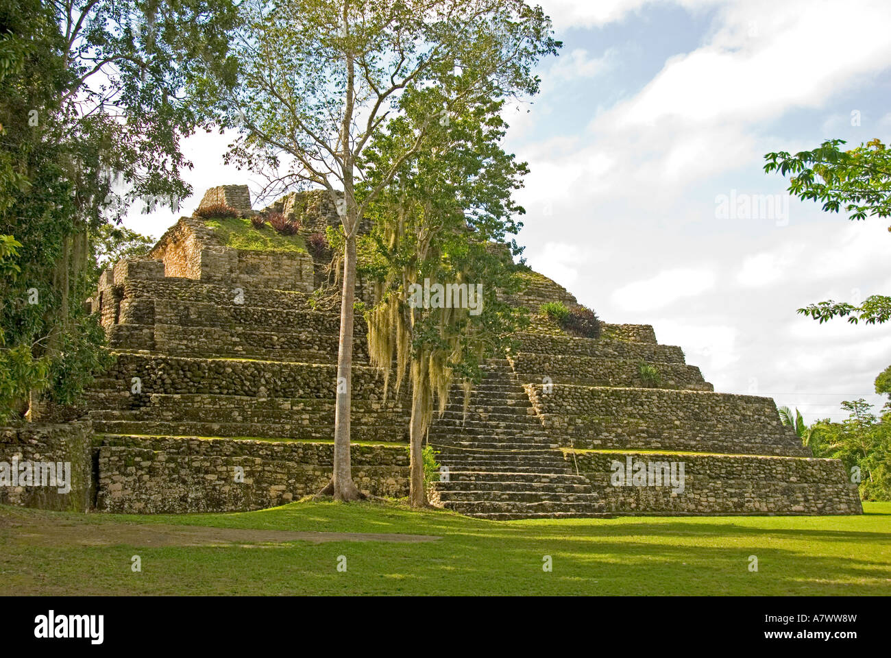 Costa Maya Mexico Chacchoben Mayan ruin overgrown Pyramid Stock Photo ...