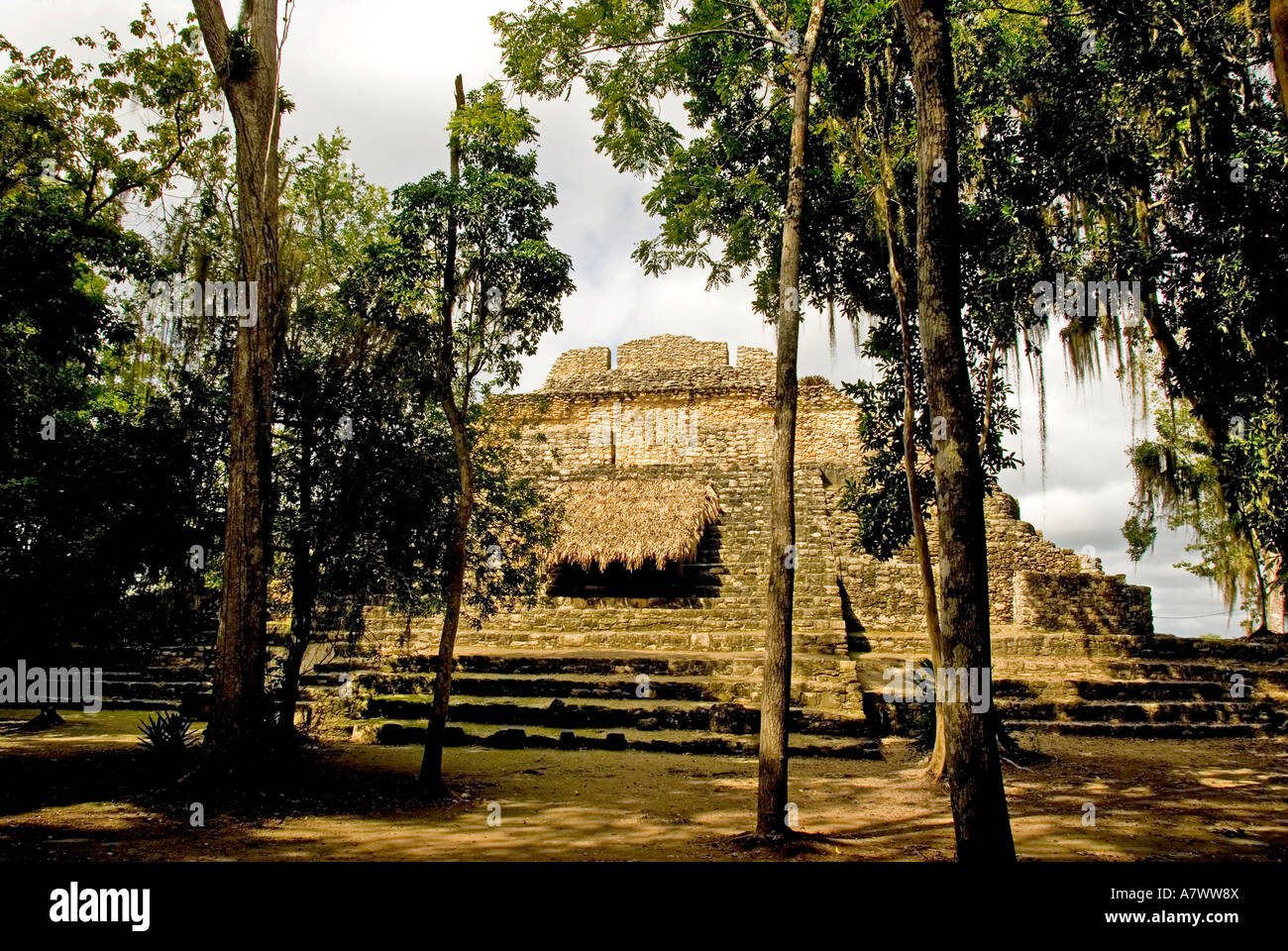 Costa Maya Mexico Chacchoben Mayan ruin overgrown Pyramid Stock Photo ...