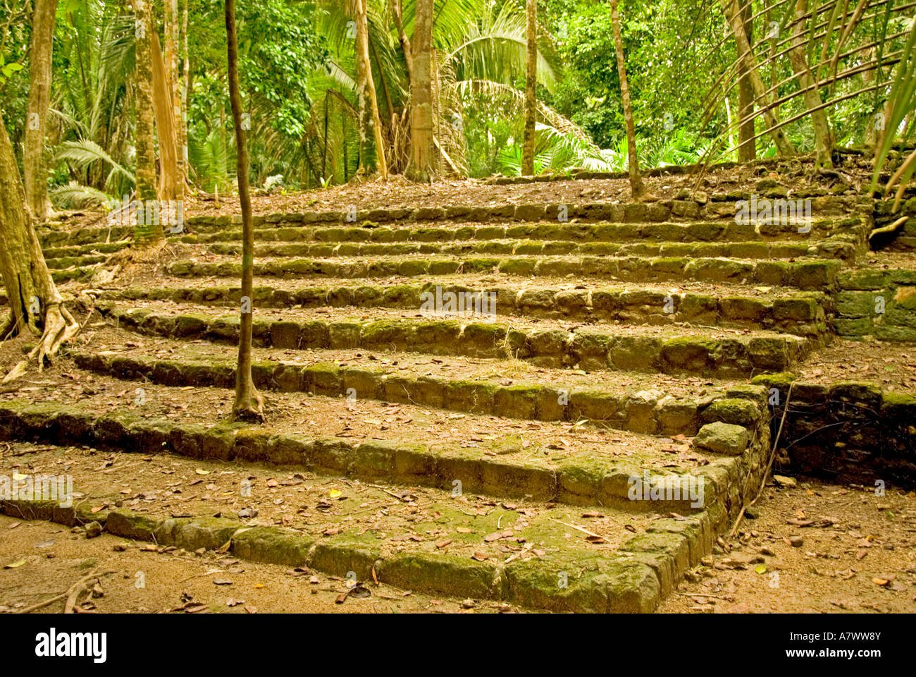 Costa Maya Mexico Chacchoben Mayan ruin series of steps Stock Photo - Alamy