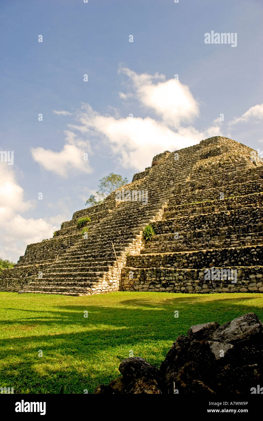 Costa Maya Mexico Chacchoben Mayan Temple Pyramid Edifice 24 Stock ...