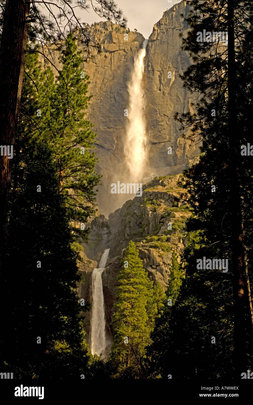 Yosemite Falls upper and lower falls trees Stock Photo - Alamy