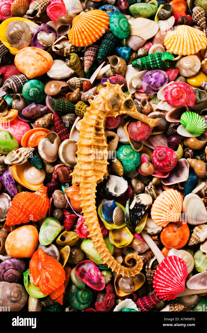 Tiny creature bed hi-res stock photography and images - Alamy