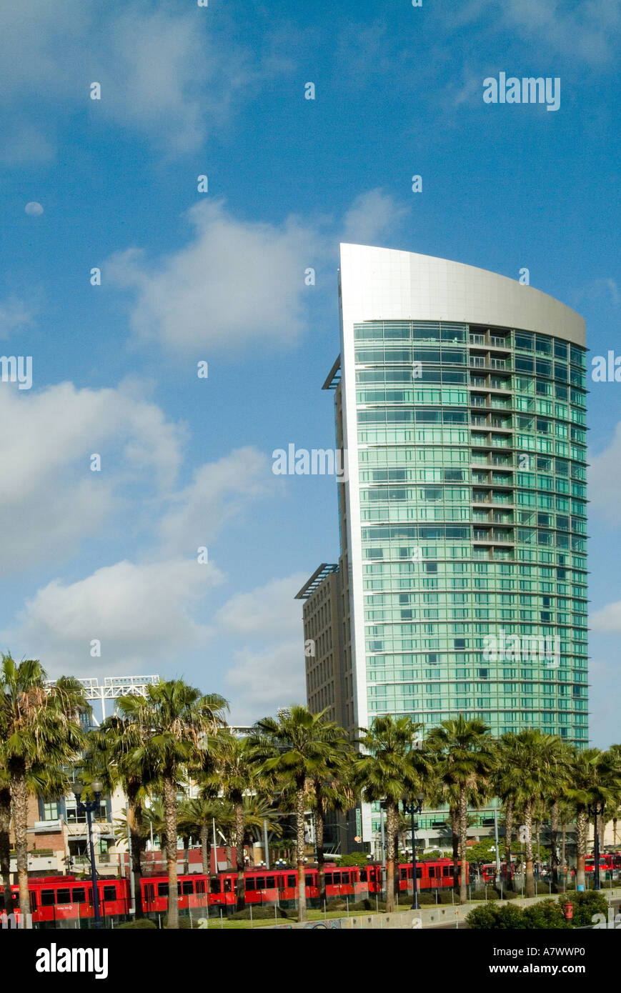 Building palm trees in city hi-res stock photography and images - Alamy