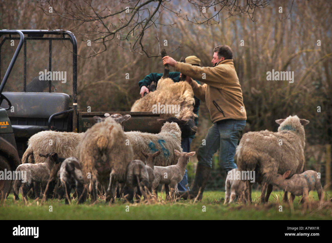 Dead load hi-res stock photography and images - Alamy