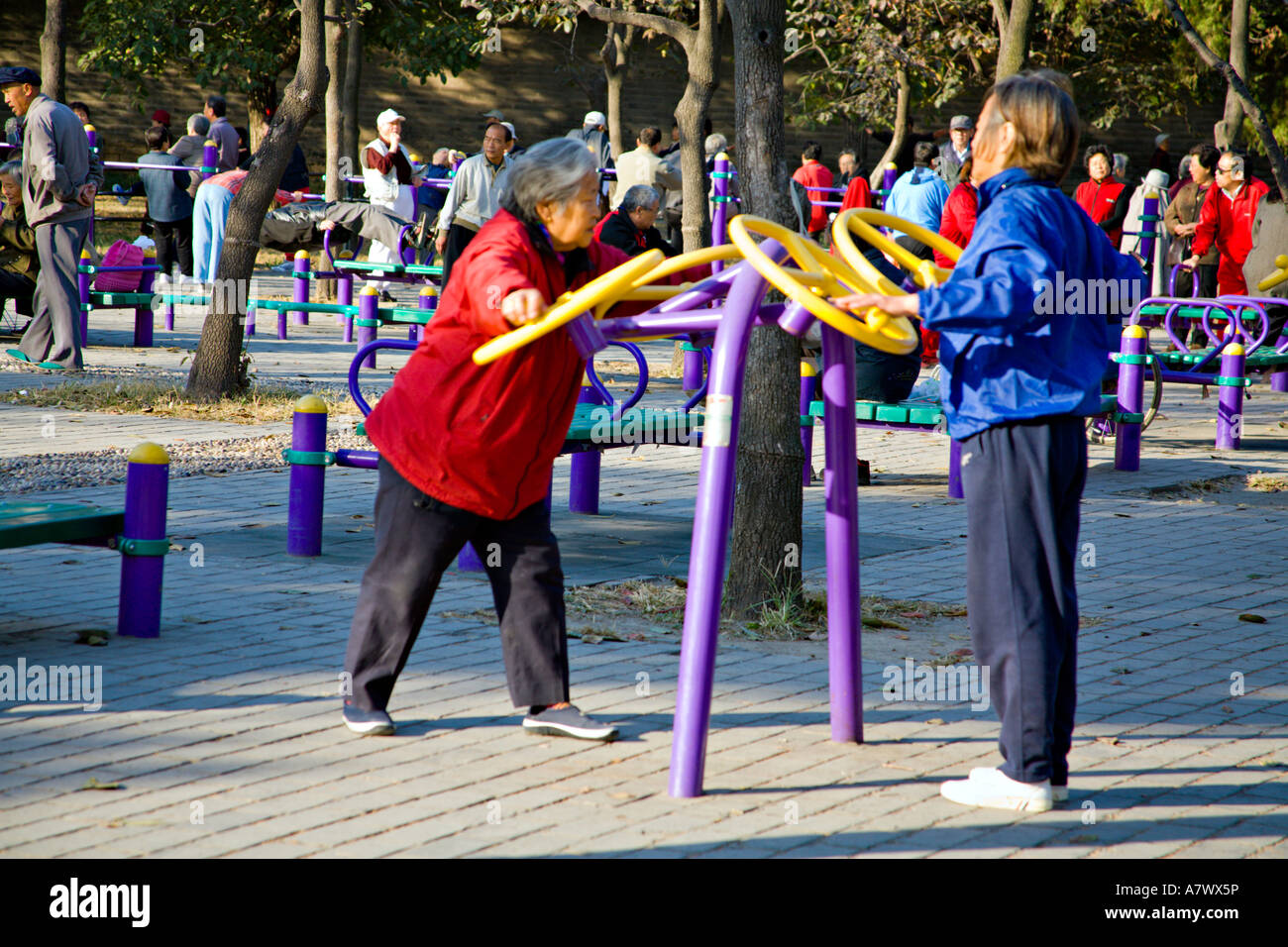 CHINA BEIJING Elderly Chinese women exercising on equipment designed to ...